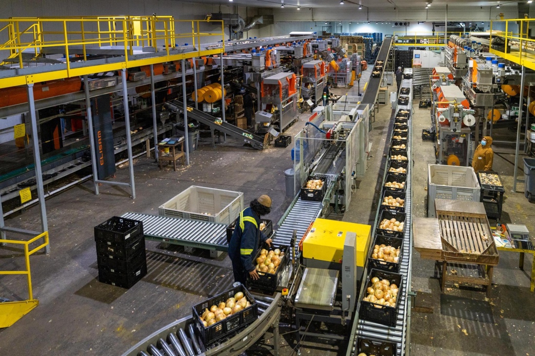 PHOTOS: Sen. Ossoff Working to Strengthen Georgia’s Onion Industry – U ... PHOTOS: Sen. Ossoff Working to Strengthen Georgia’s Onion Industry – U ...